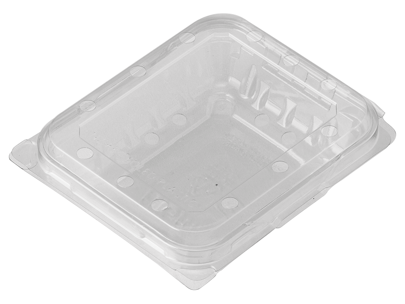 PUNNET 125G CLAMSHELL BLUEBERRY | Pact Group