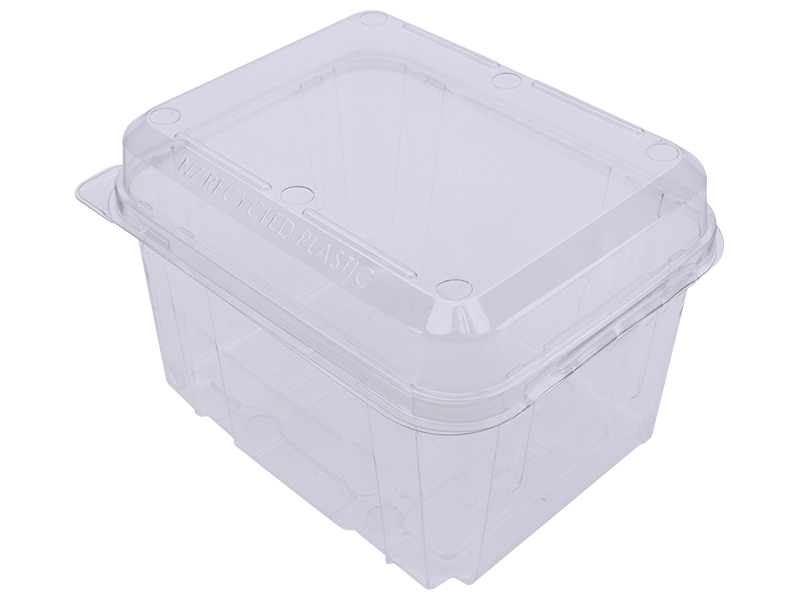 PUNNET 1KG Clamshell | Pact Group