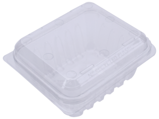 PUNNET 125G Clamshell BLUEBERRY | Pact Group