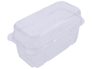 PUNNET 125G Clamshell BLUEBERRY | Pact Group