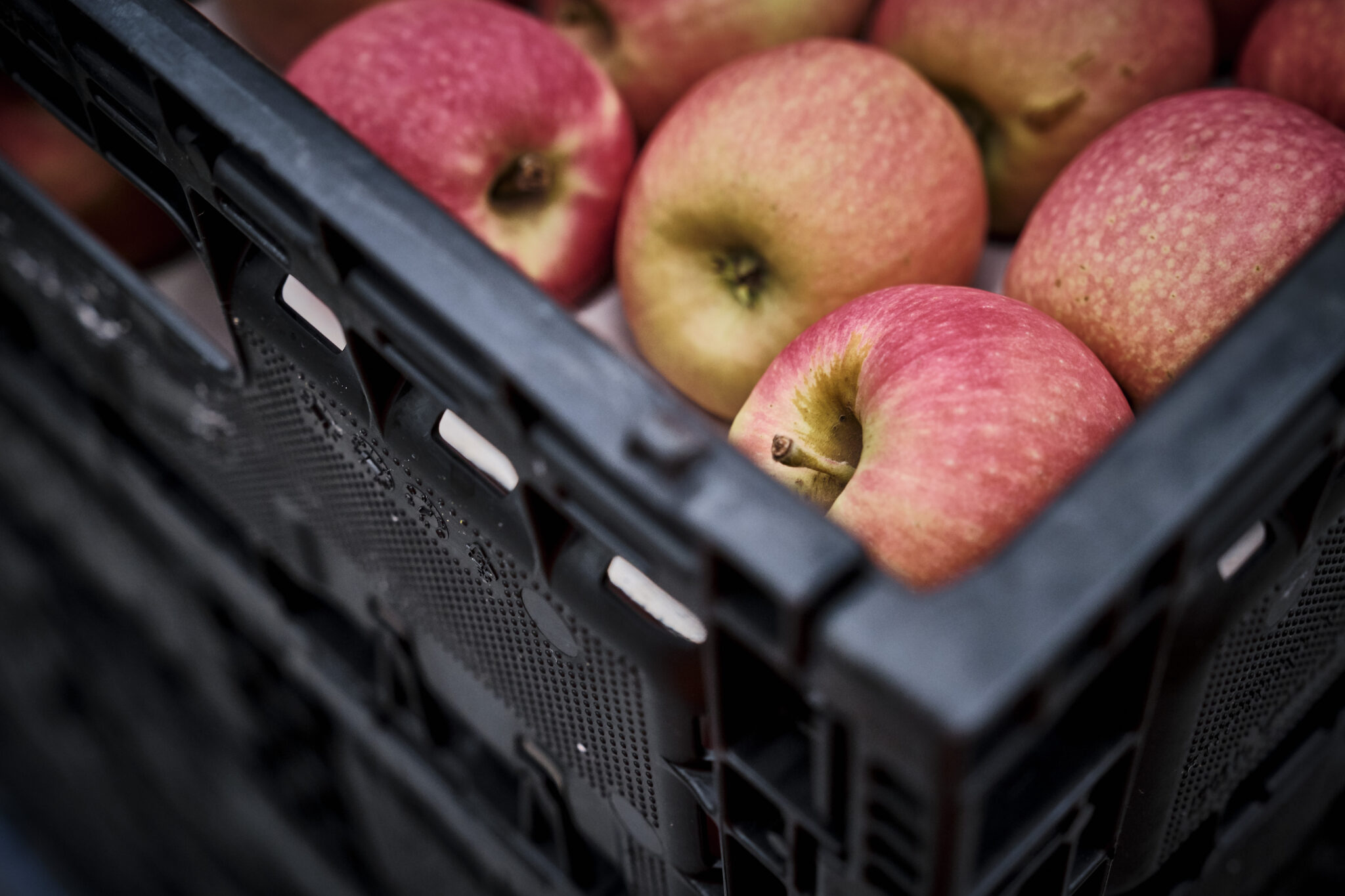 Pact Group and Morrison complete deal for Crate Pooling business | Pact ...