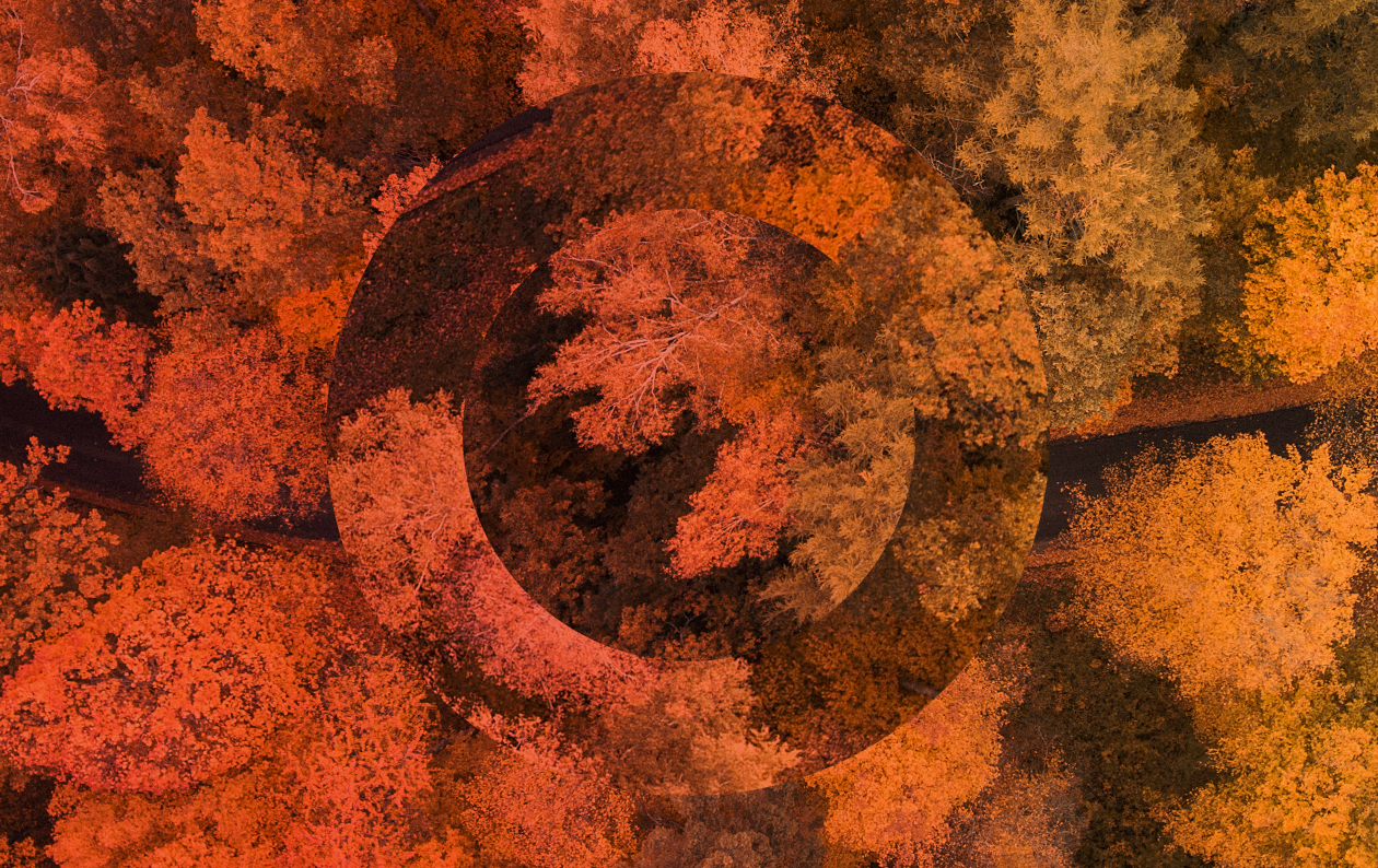 Products & Services | Pact Group