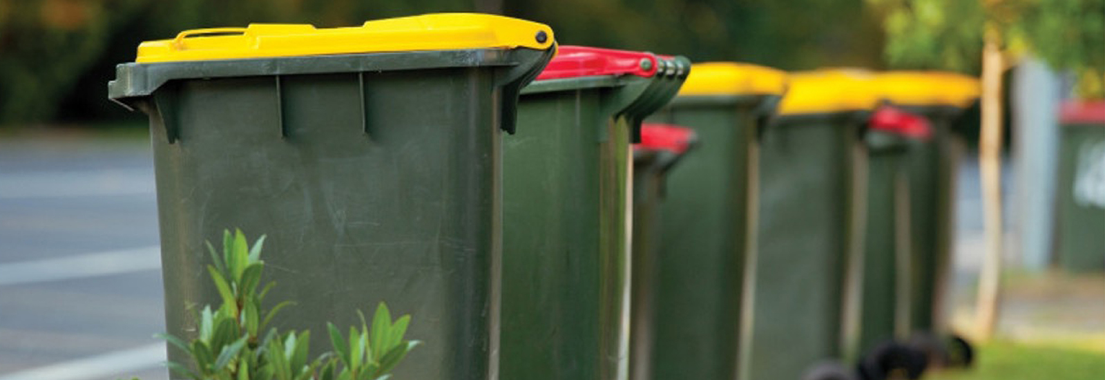 NZ Standardised Kerbside Collection | Pact Group